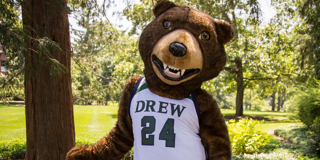 Student Opinions: Should Ranger Bear Be Our Mascot? – The Drew Acorn
