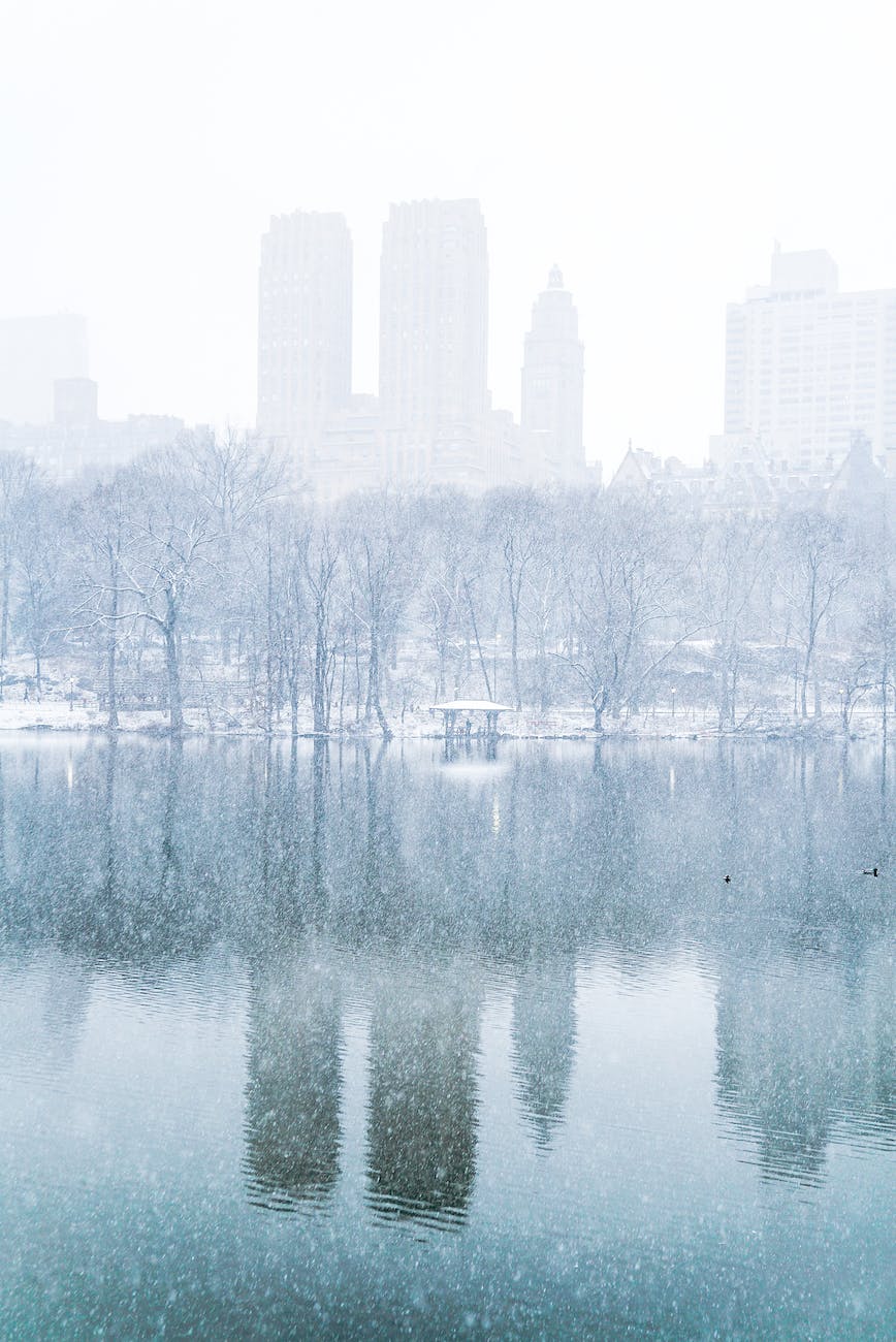 What Happened to All the New York City Snow? – The Drew Acorn